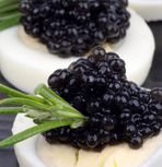 Lumpfish Caviar 17.5 oz/500 g