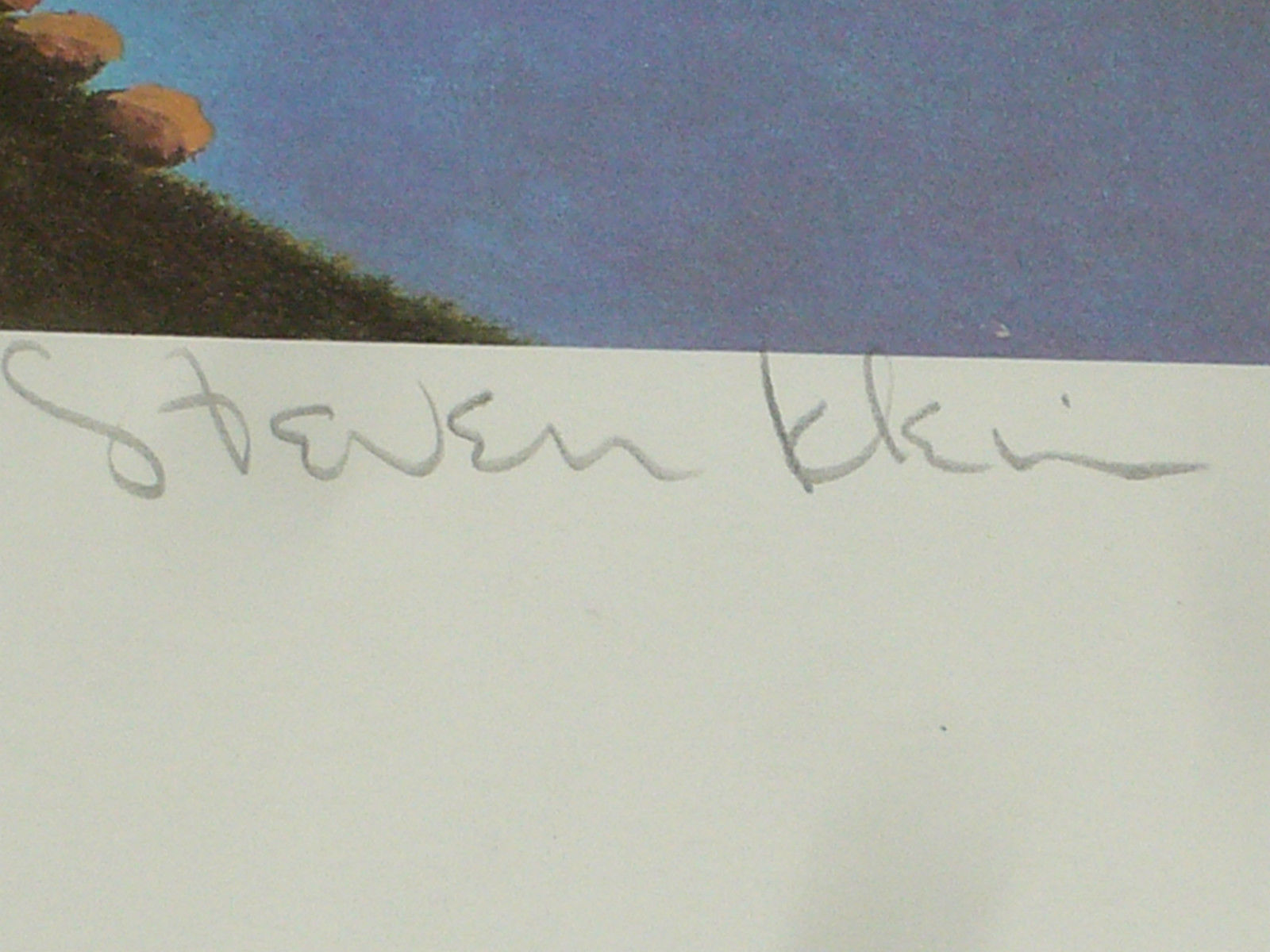 Art Print By Steven Klein S/N