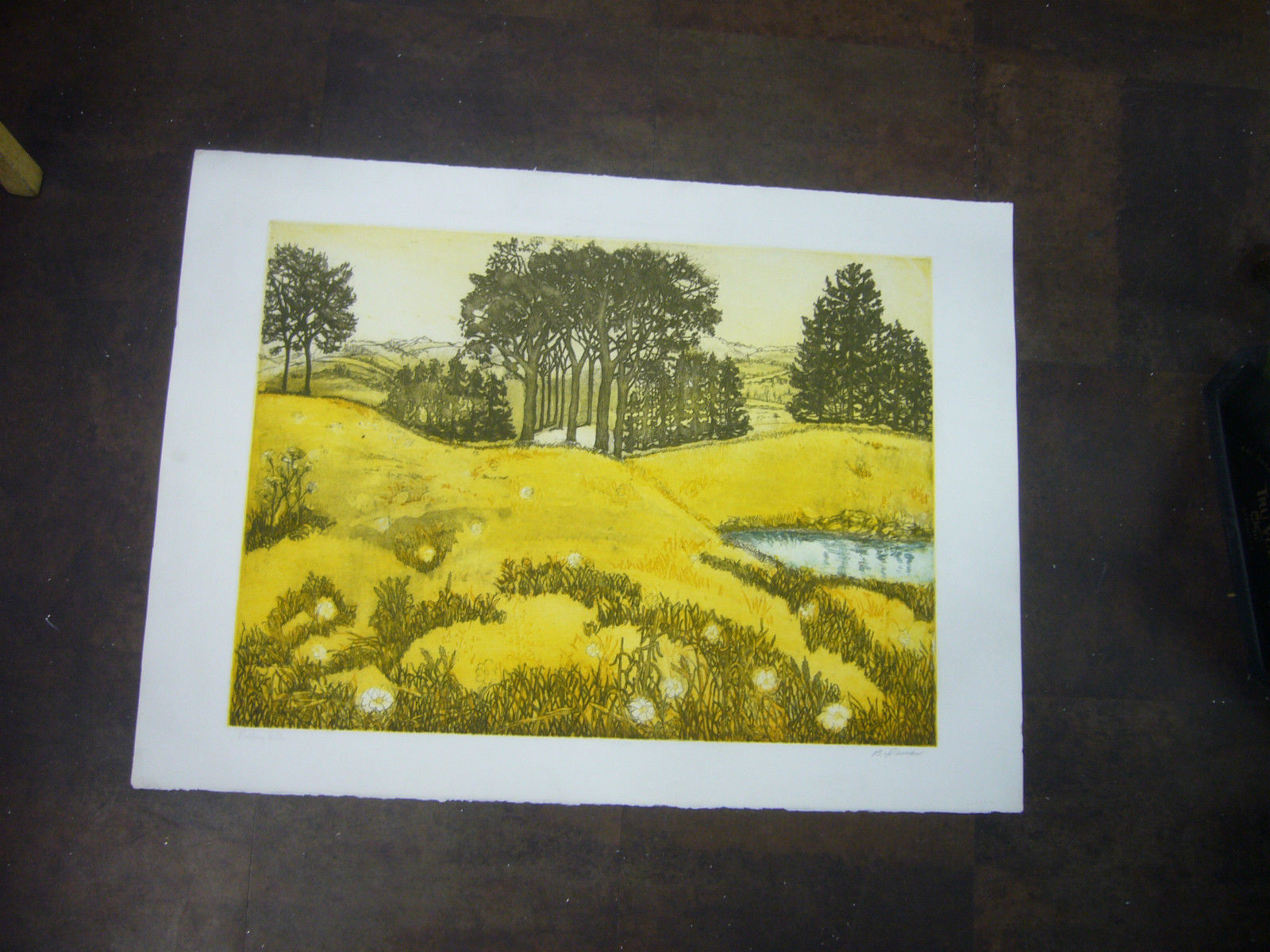 rolling hill limited edition signed print