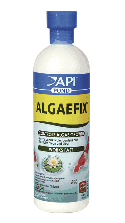 AlgaeFix Liquid Algae Control - 16oz - 169B