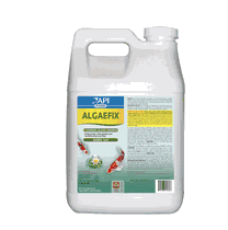 Pond AlgaeFix
