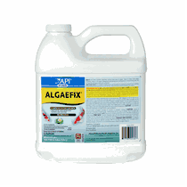 Pond AlgaeFix