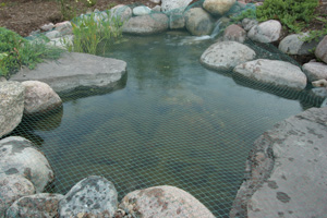 Aquascape - 28' x 30' Protective Pond Netting - 98002
