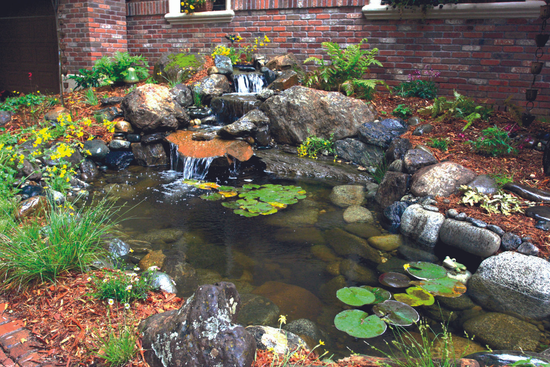 Blue Thumb - 11' x 16' Complete Elite Pond Kit (4500gph) - PB1276