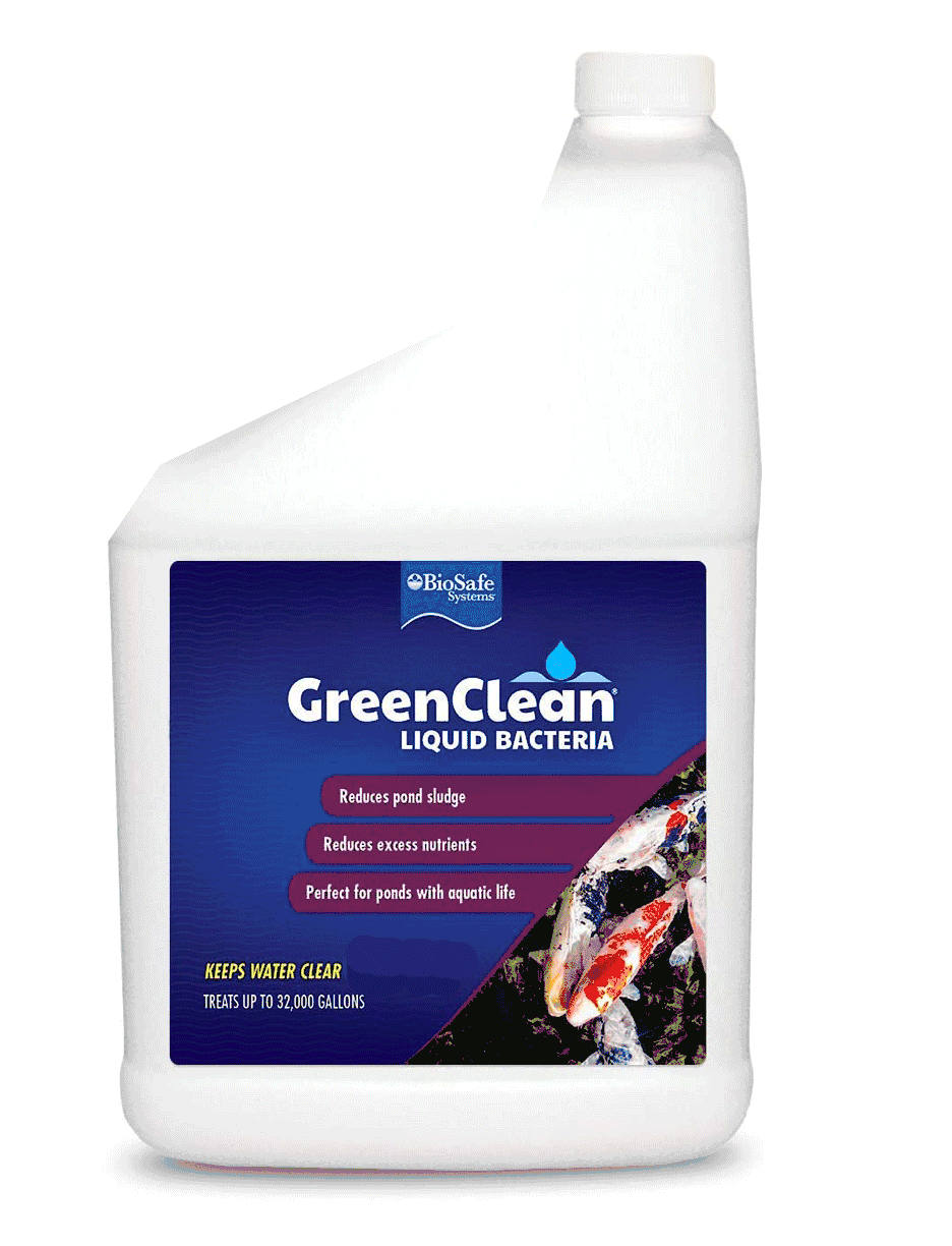 Green Clean Algaecide