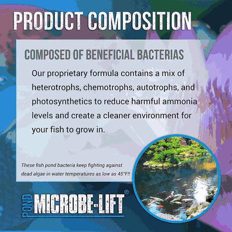 Microbe-Lift PL - #1 Beneficial Pond Bacteria - 128oz (Gallon) - 10PLG ...