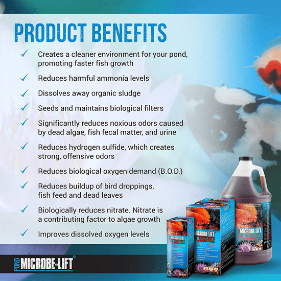 Microbe-Lift PL - #1 Beneficial Pond Bacteria - 128oz (Gallon) - 10PLG