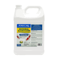 Microbial Algae Clean
