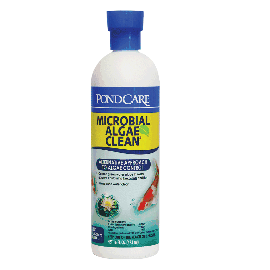 Microbial Algae Clean - Algae Control - 16oz - 269B