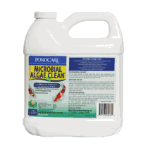 Microbial Algae Clean