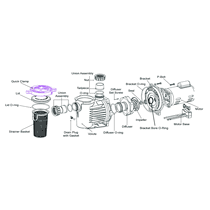 Performance Pro External Pumps