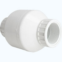 White PVC Swing Check Valve - 1" FPT x 1" FPT - 1520-10F