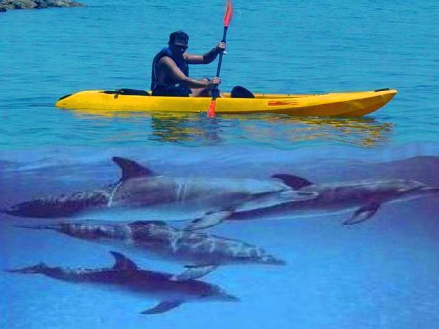 Caribe Kayak Action Shot #3