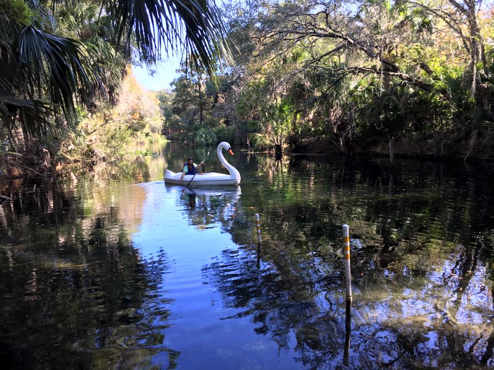 Swan Kayak Side View