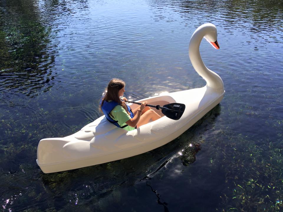 Swan Kayak Single Side View