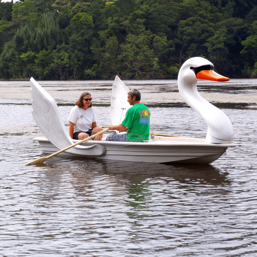 Swan Row Boat