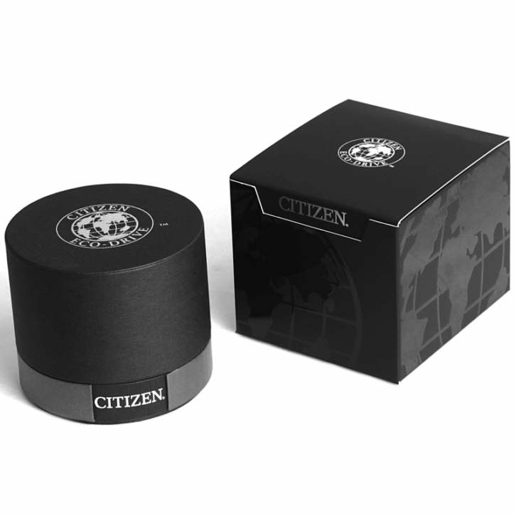 Women's Citizen Eco-Drive World Time A-T Atomic Watch FC0003-18D