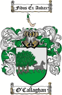 O'Callaghan Coat of Arms / O'Callaghan Family Crest