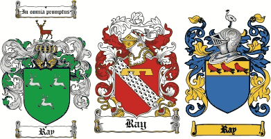 Ray Coat of Arms / Ray Family Crest