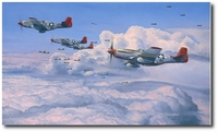 The Tuskegee Airmen