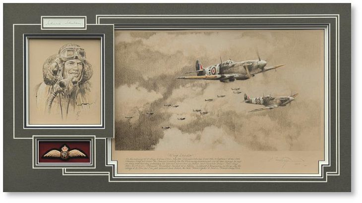 'Johnnie' Johnson - Icons of Flight by Robert Taylor