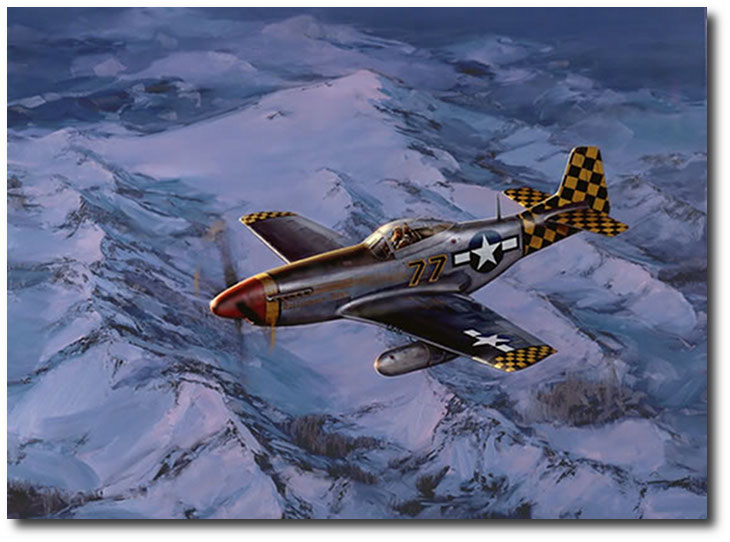 Mustang! - The Checkertail Clan by Jack Fellows (P-51)