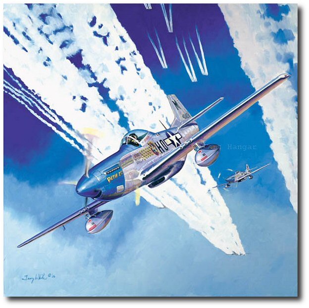 Serenade in Blue by Troy White (P-51 Mustang)