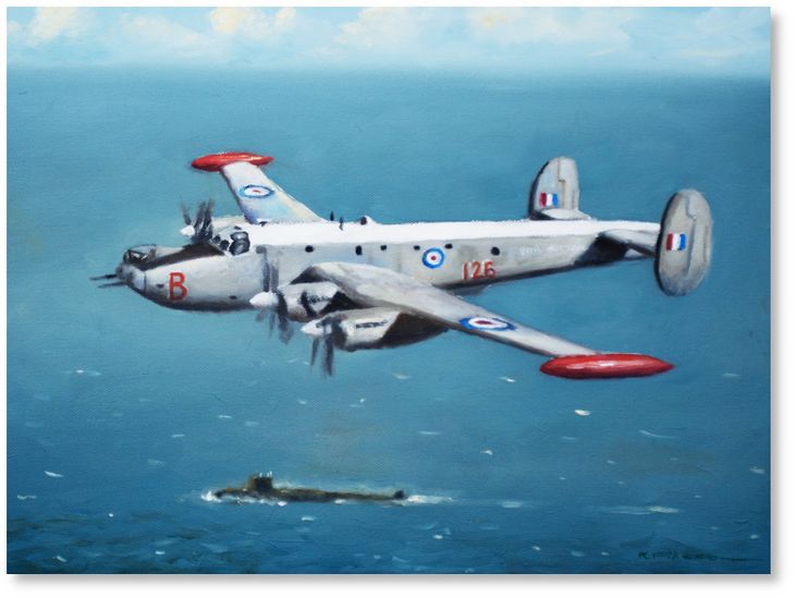 Shackleton by Robert D. Fiacco