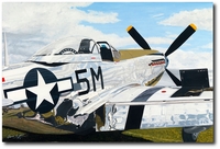 Aviation Art of Sam Lyons