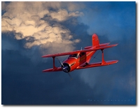 Staggerwing by Sam Lyons