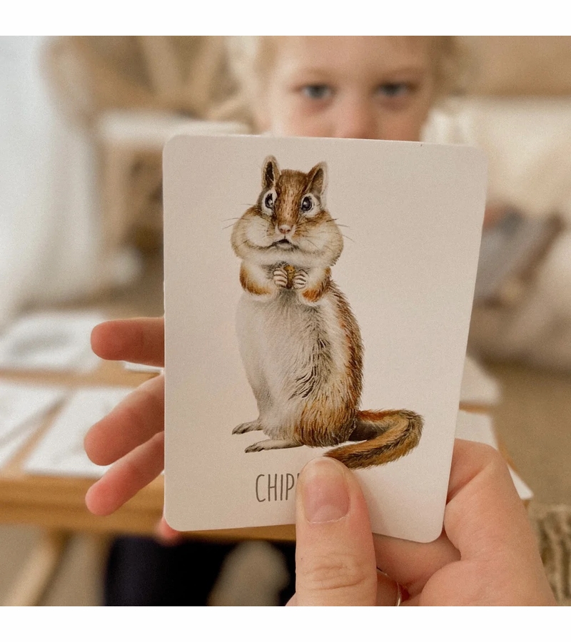 Modern Monty Snap & Go Fish - Woodland (2 Card Games in 1)