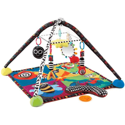 Sassy Rock & Roll Developmental Gym