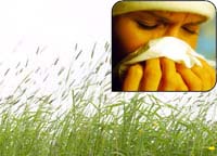 Pollen Allergies/Minimize Exposure – AllergyBeGone.com