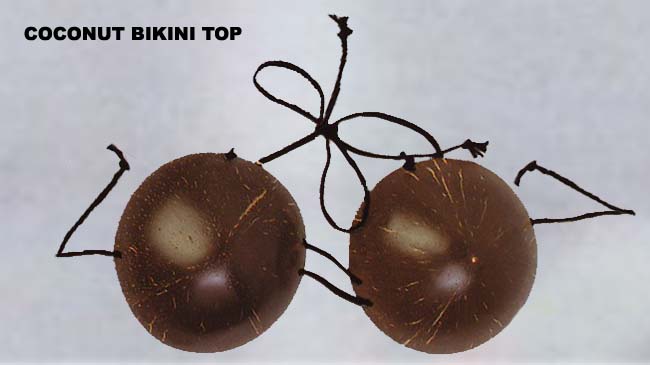 Coconut Bikini Top