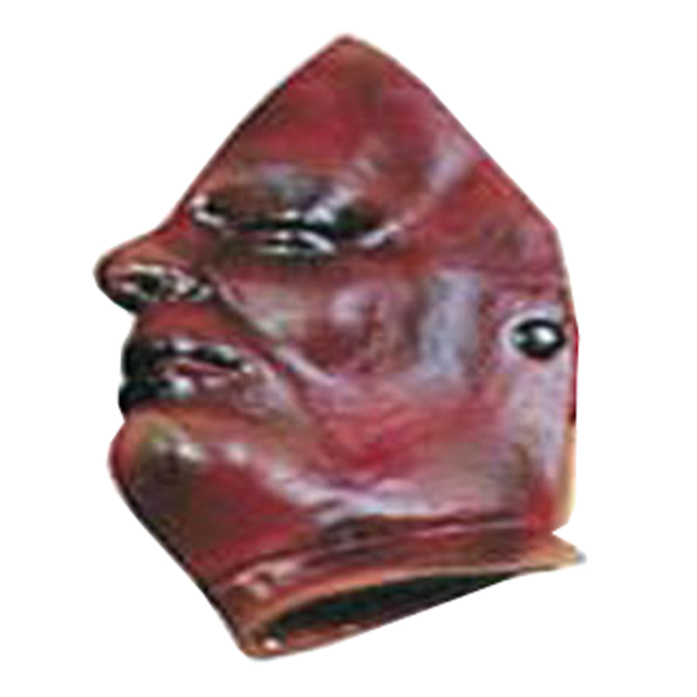 Simulaids 2nd & 3rd Degree Burn of Face