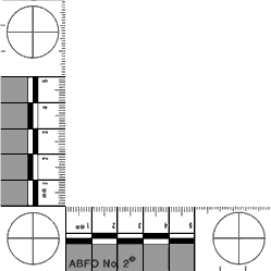 Designed by the American Board of Forensic Odontology