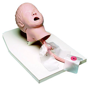 Pediatric Child Airway Management Trainer with Stand