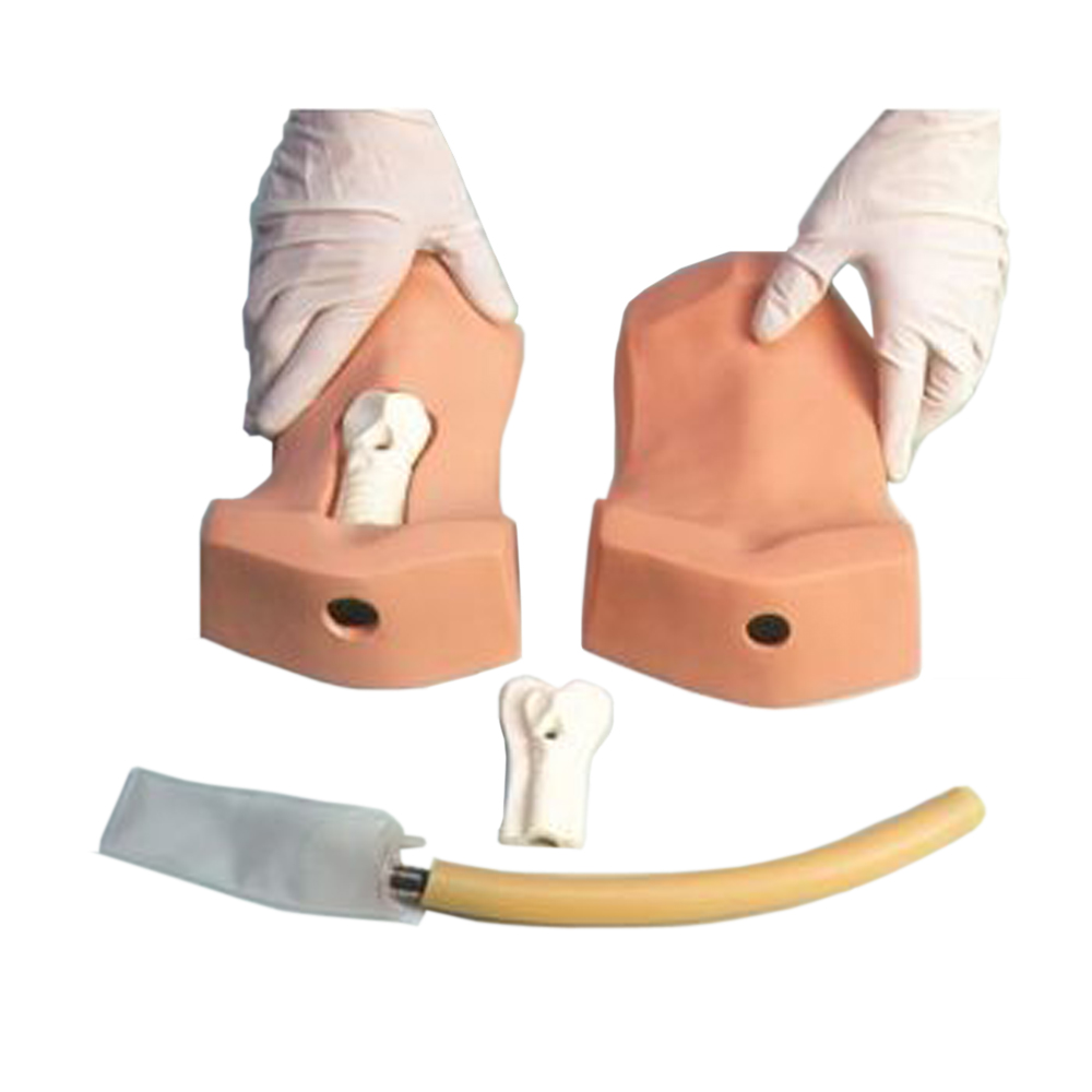 Simulaids Cricothyrotomy Simulator with 4 Overlay Skins