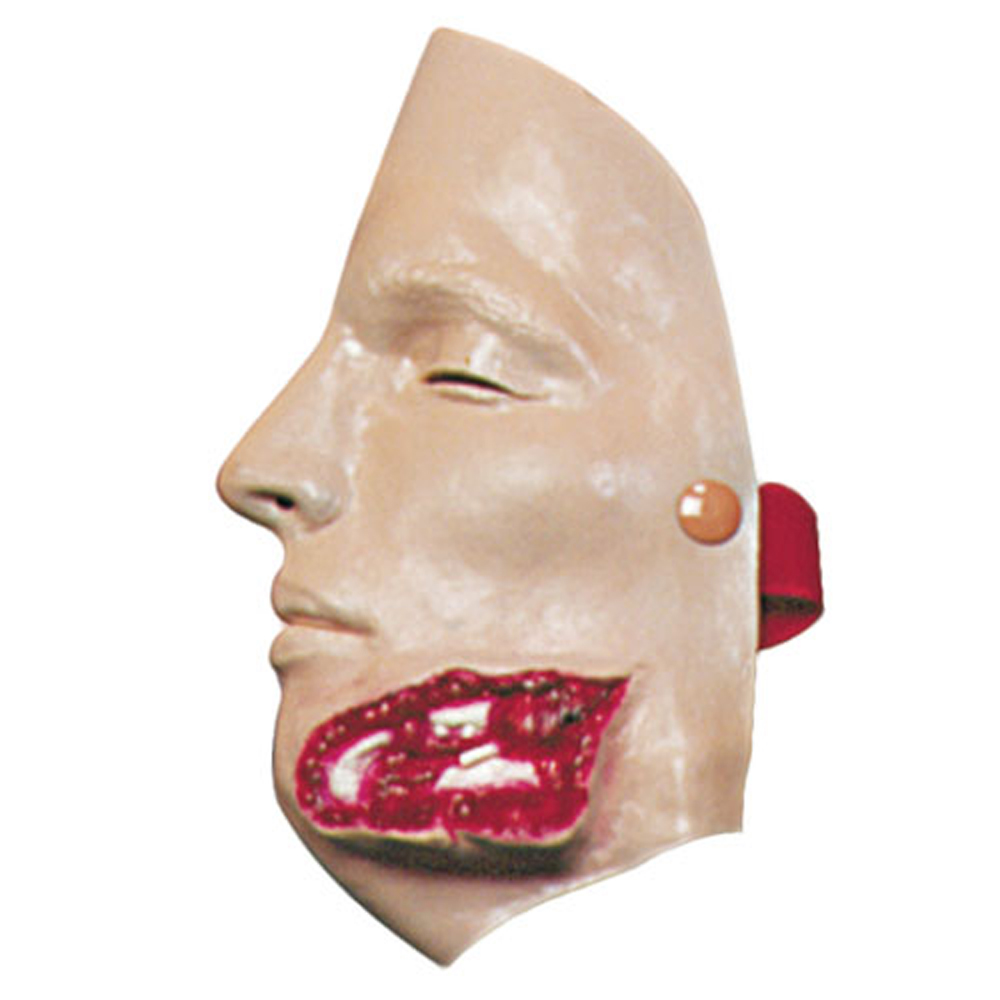 Simulaids Jaw Wound for Manikin-Use Only