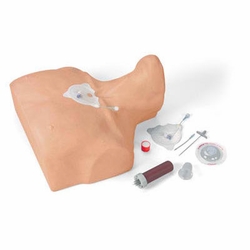 Life/form Adult Sternal Intraosseous Infusion Simulator