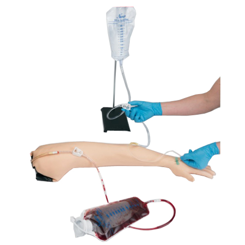 Life/form Adult Venipuncture and Injection Training Arm