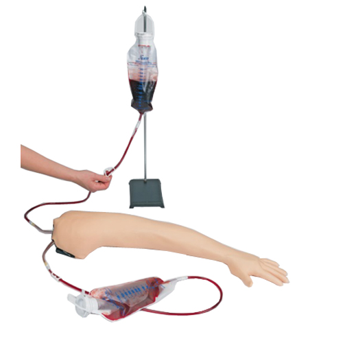 Life/form Adult Venipuncture and Injection Training Arm