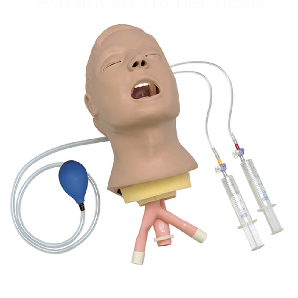 Life/form Advanced "Airway Larry" Trainer Head