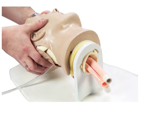 Airway Larry Simulates a NoAanesthetized Patient