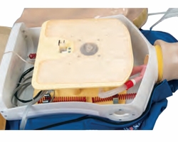 Airway Larry Simulates a NoAanesthetized Patient
