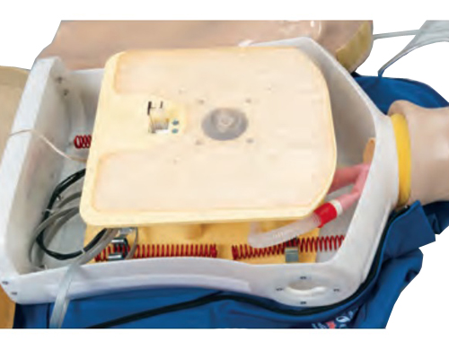 Airway Larry Simulates a NoAanesthetized Patient