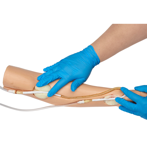 Life/form Arterial Puncture Arm