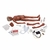 GERI Nursing Skills Manikin is an ideal choice