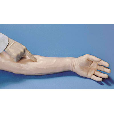 Life/form Venipuncture and Injection Demonstration Arm