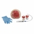 Infected Ostomy Care Kit for Medical Training and Procedure